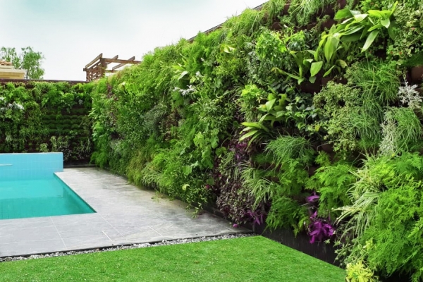 Solomou Landscaping, Projects, Living walls/ Vertical gardens, Solomou ...
