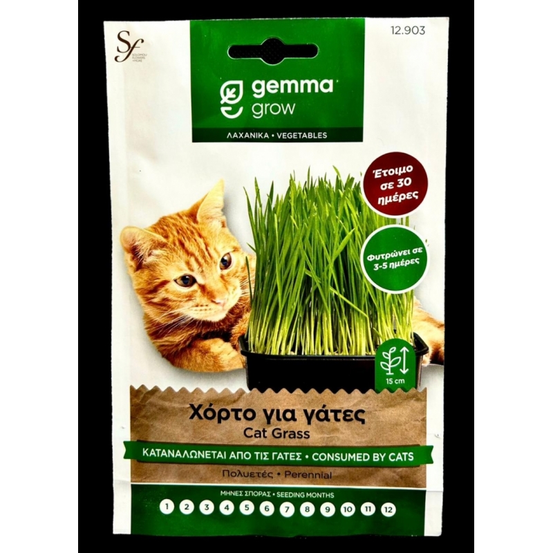 Χόρτο για γάτες #EN1062, Seeds Ornamentals, Solomou Garden Centre ...